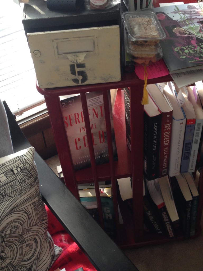 TSS: A Day In The Life of A Book Reviewer: Book Mail!